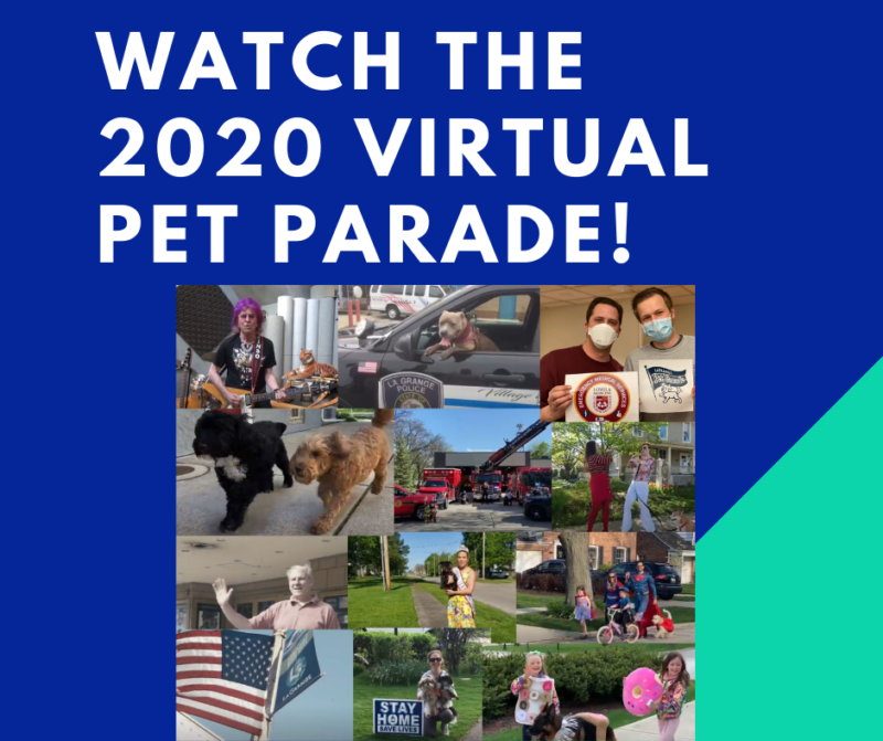 Home - La Grange Pet Parade